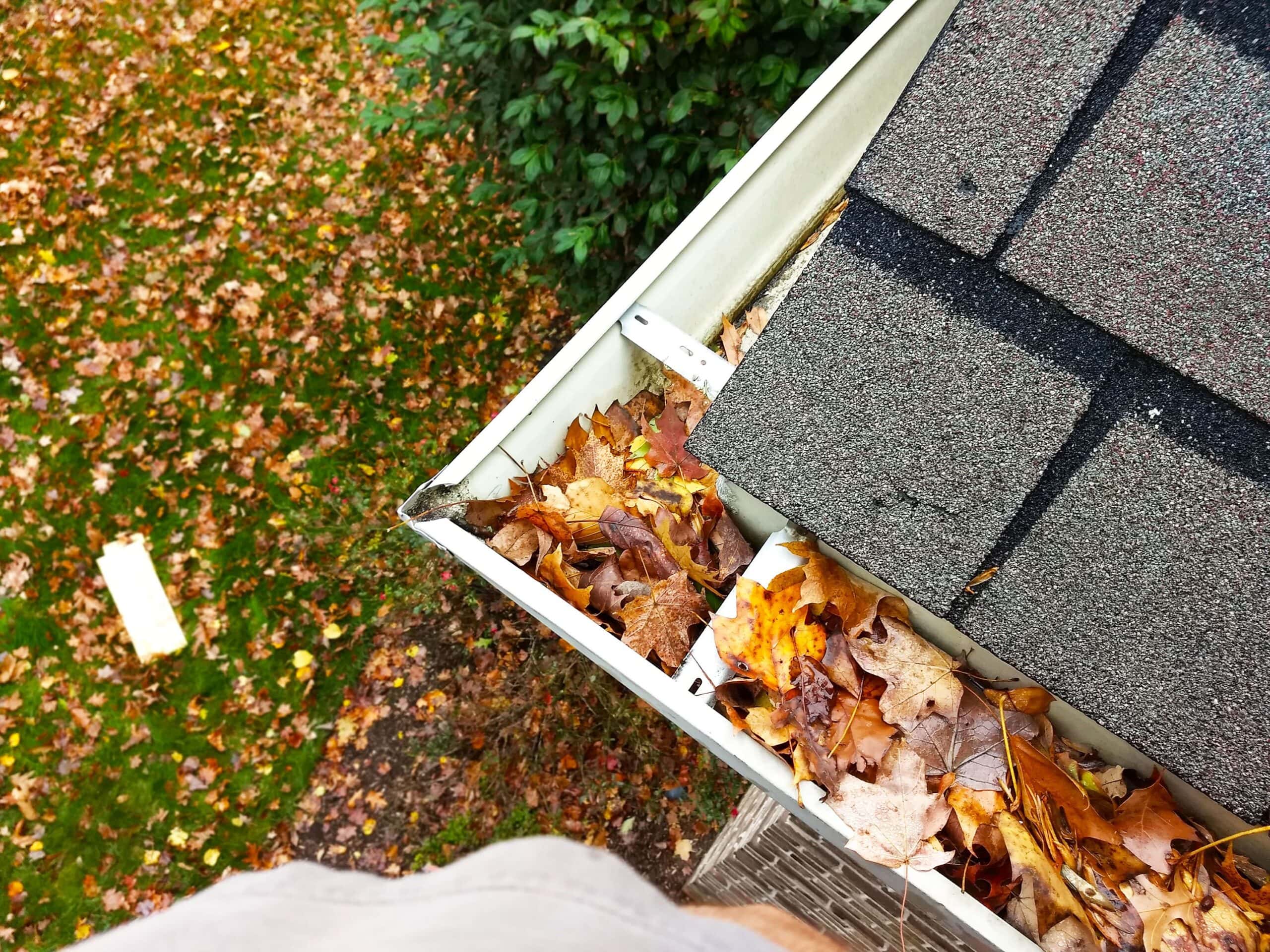 Gutter Cleaning Deerfield Beach | Boca Boys